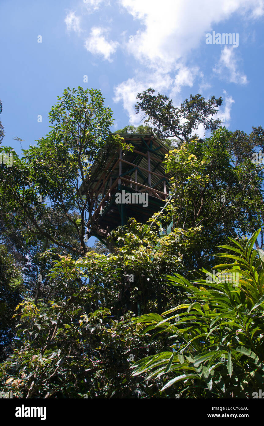 Treehouses hi-res stock photography and images - Alamy