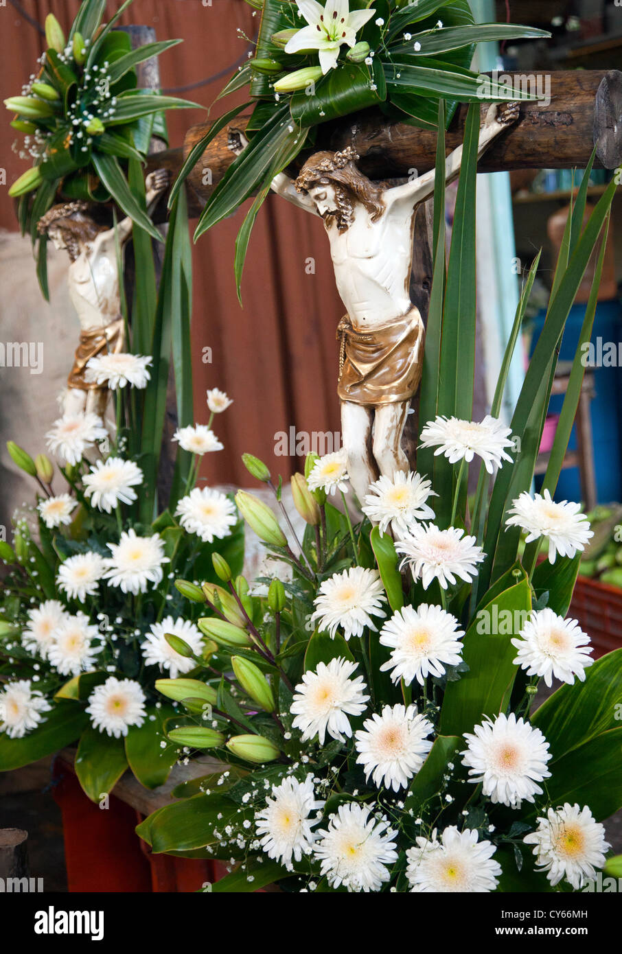 Liliesjesus hi-res stock photography and images - Alamy