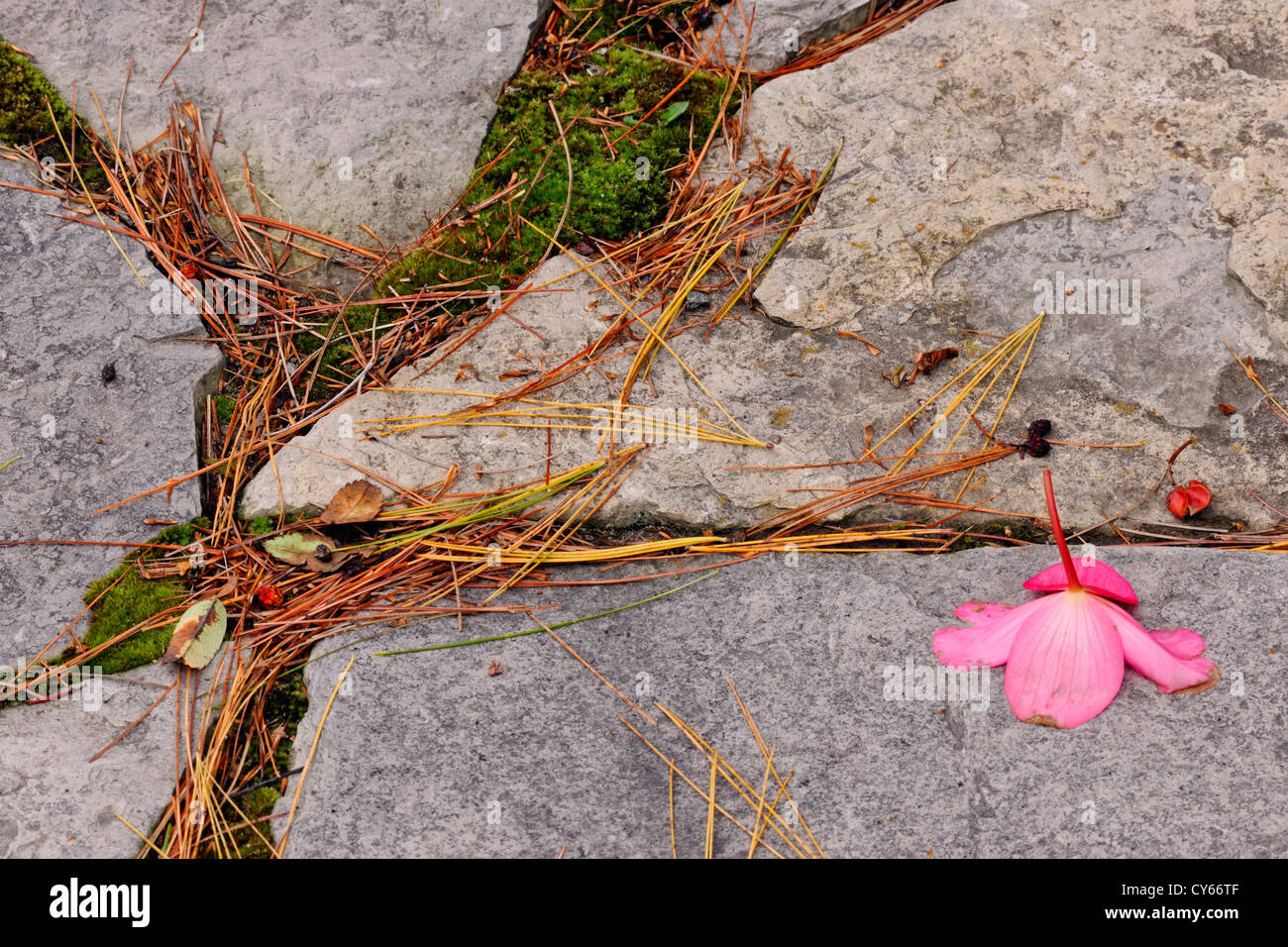 Gathered stones hi-res stock photography and images - Alamy