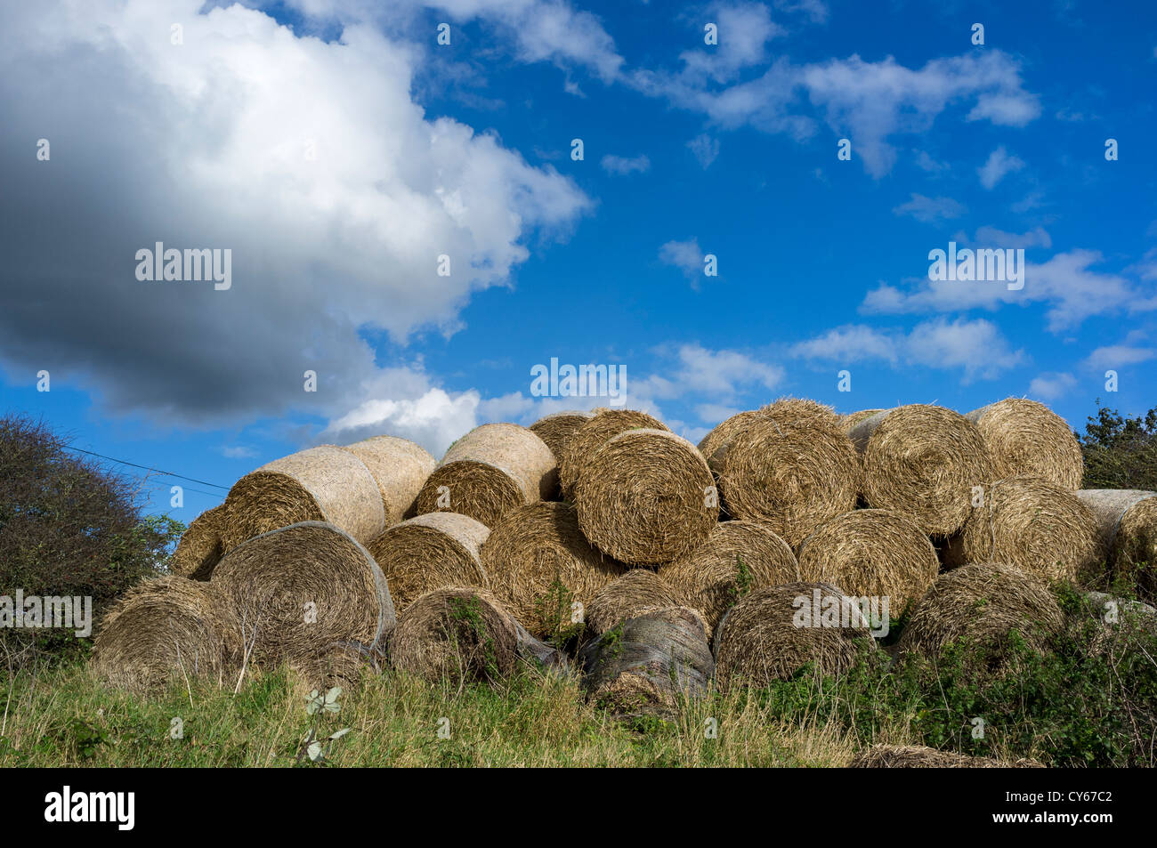 Rolls of Hay Stock Photo - Alamy