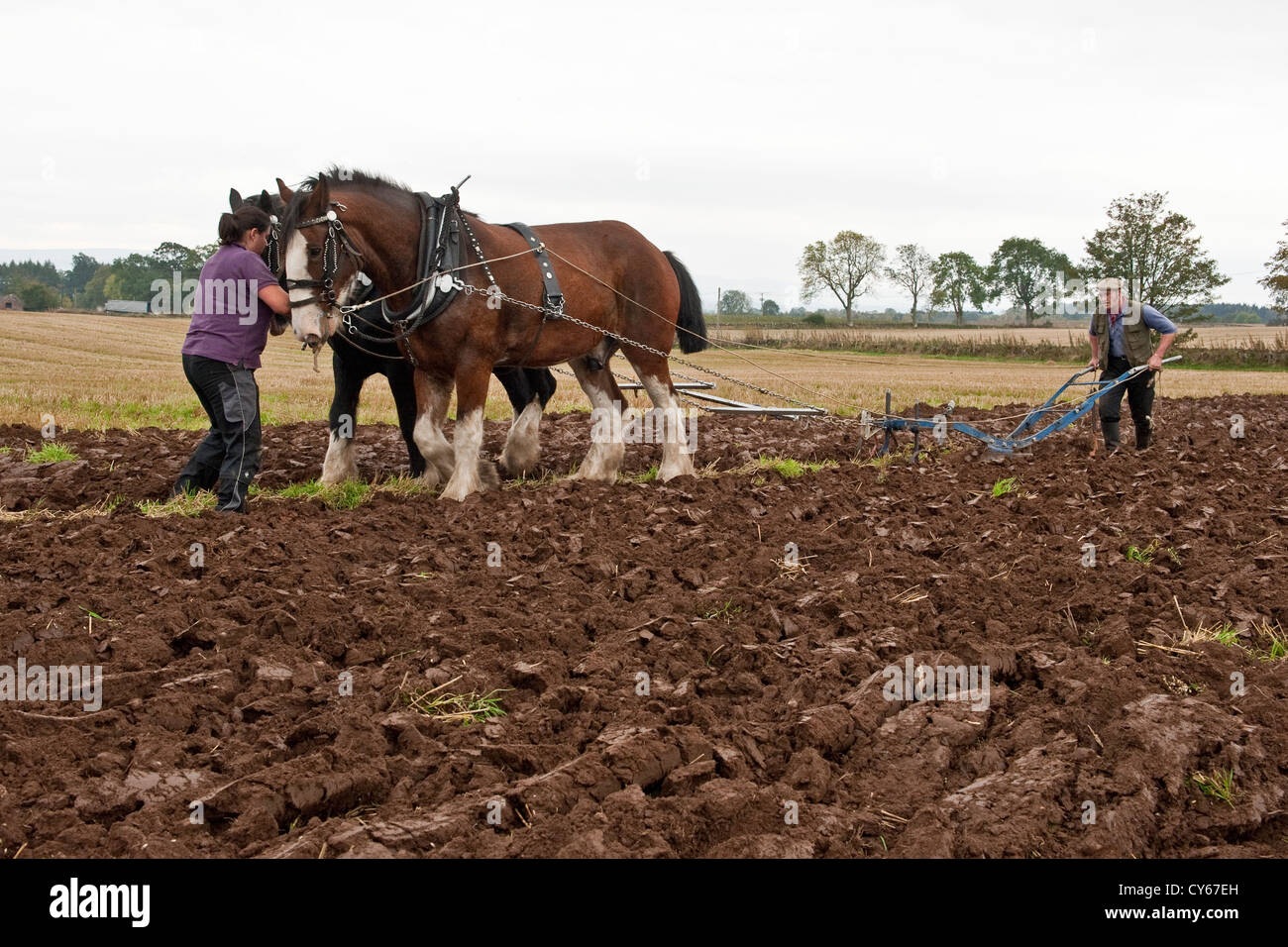 Horse and plough in Perthshire, Scotland Stock Photo - Alamy