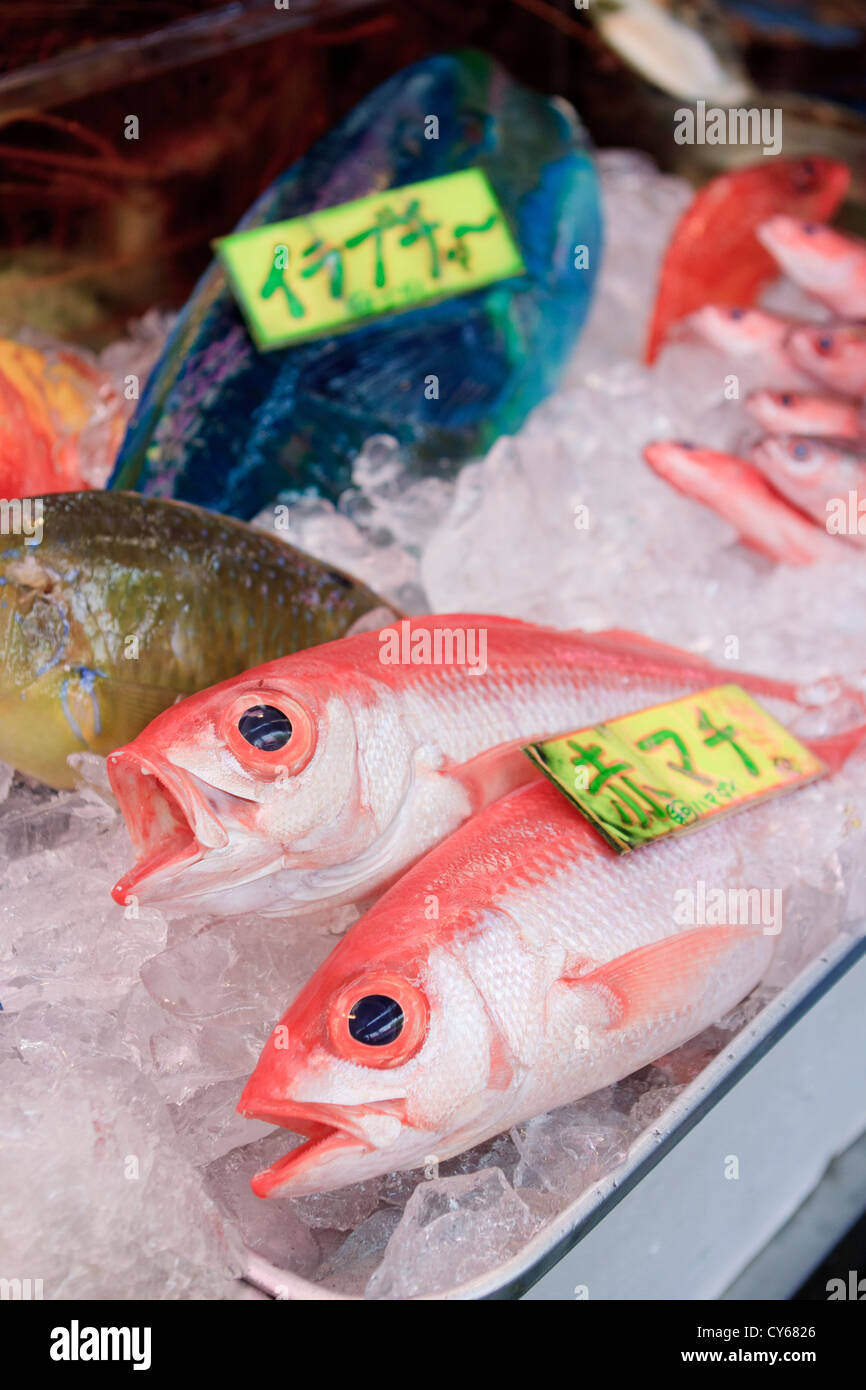Okinawa japan tropical fish okinawa hi-res stock photography and images ...