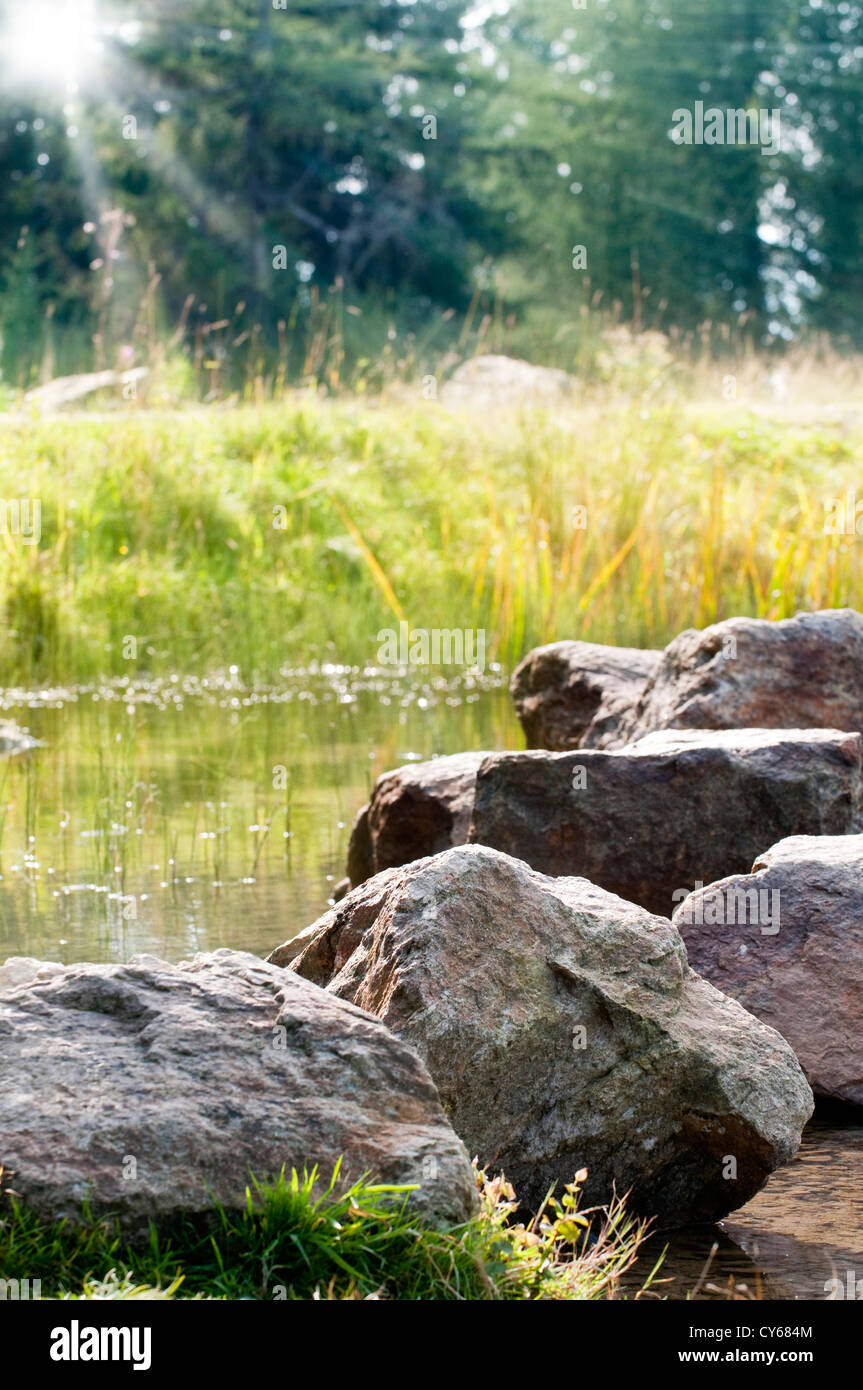 Biotope hi-res stock photography and images - Alamy