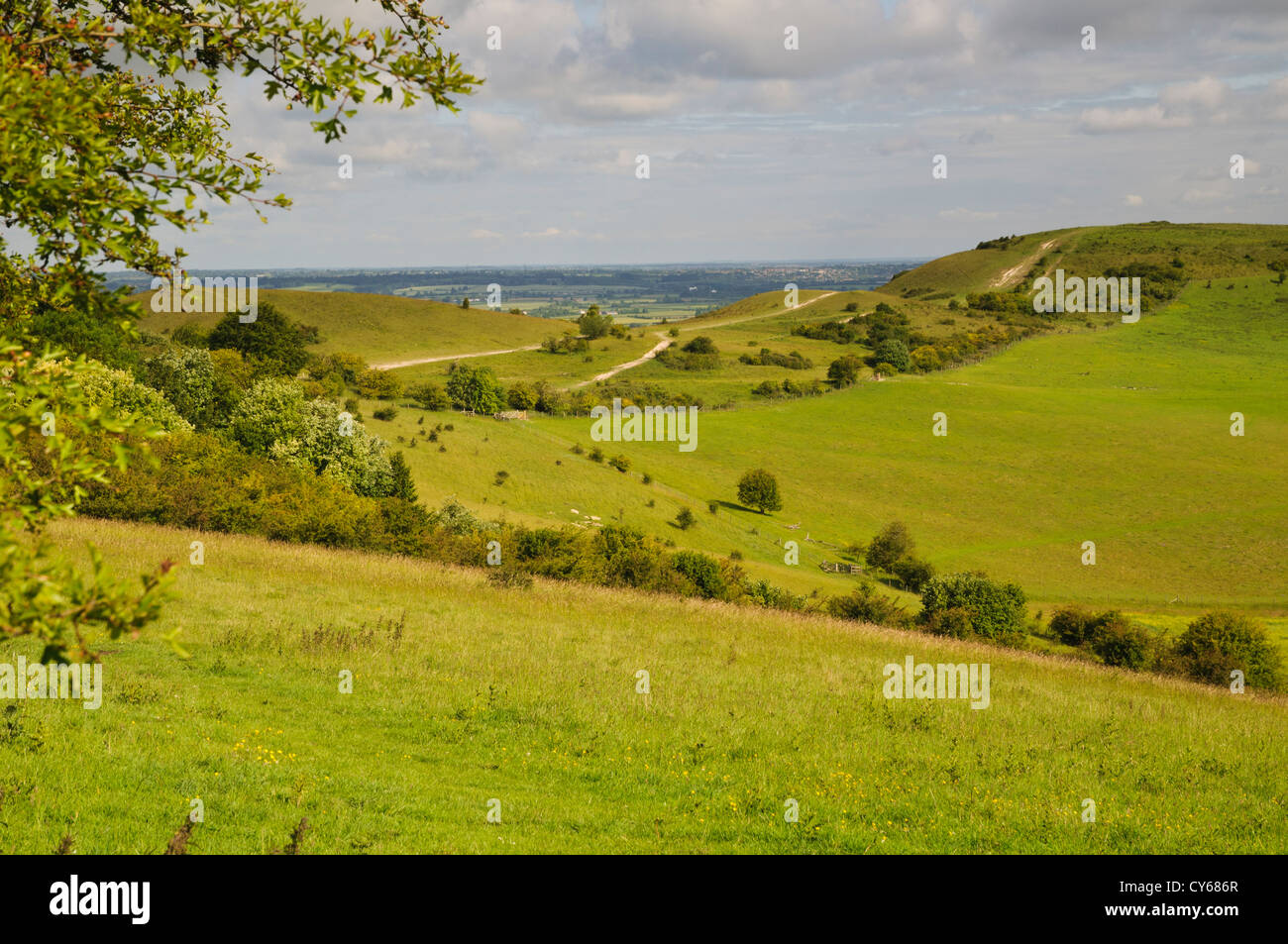 A view of Ivinghoe Beacon in Buckinghamshire. june Stock Photo - Alamy
