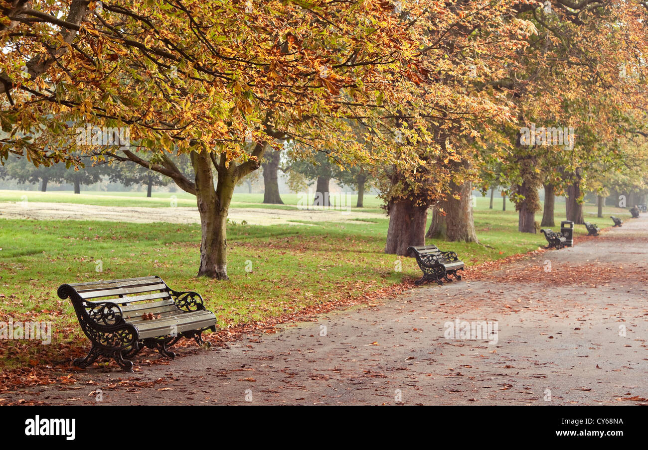 Regent's Park in autumn, London, England, UK Stock Photo - Alamy