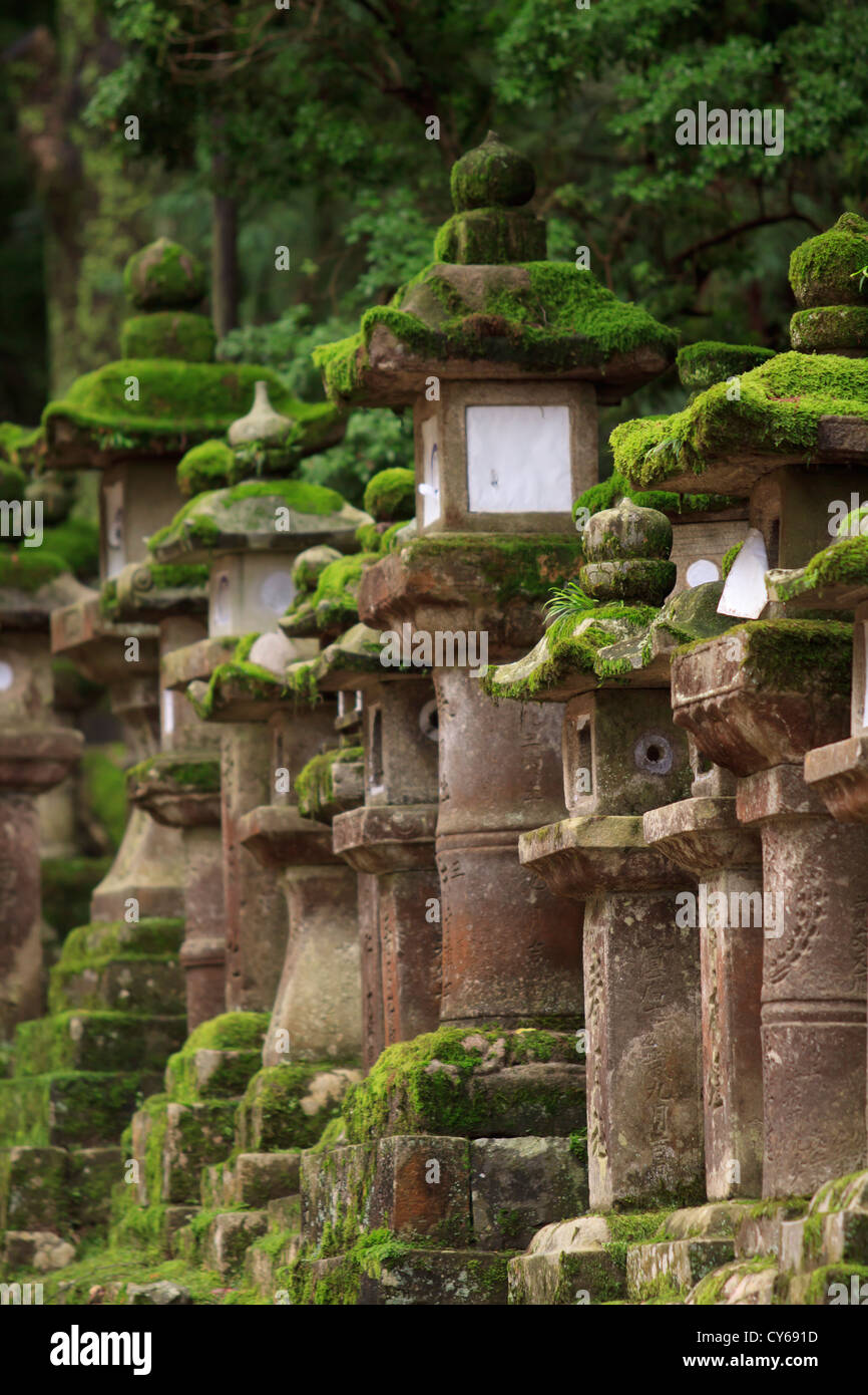 Kasuga-Taisha Shrine in Nara, Japan is famous for its large number of ...