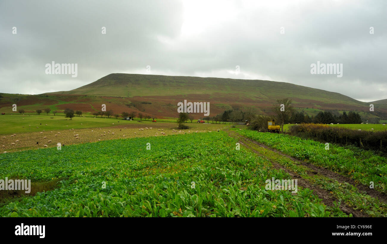 Ffynnon y parc hi-res stock photography and images - Alamy