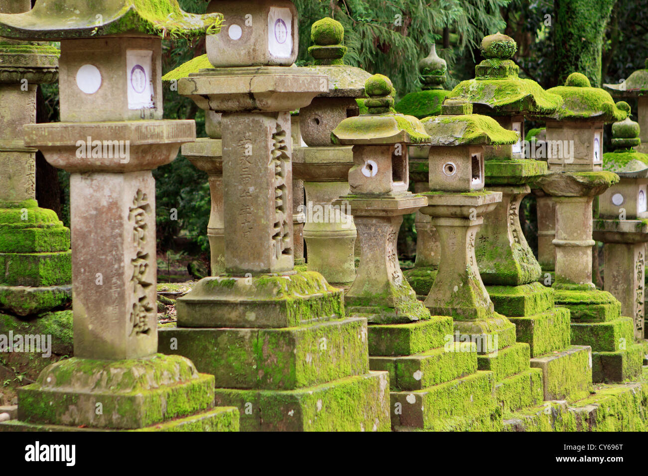 Kasuga-Taisha Shrine in Nara, Japan is famous for its large number of ...