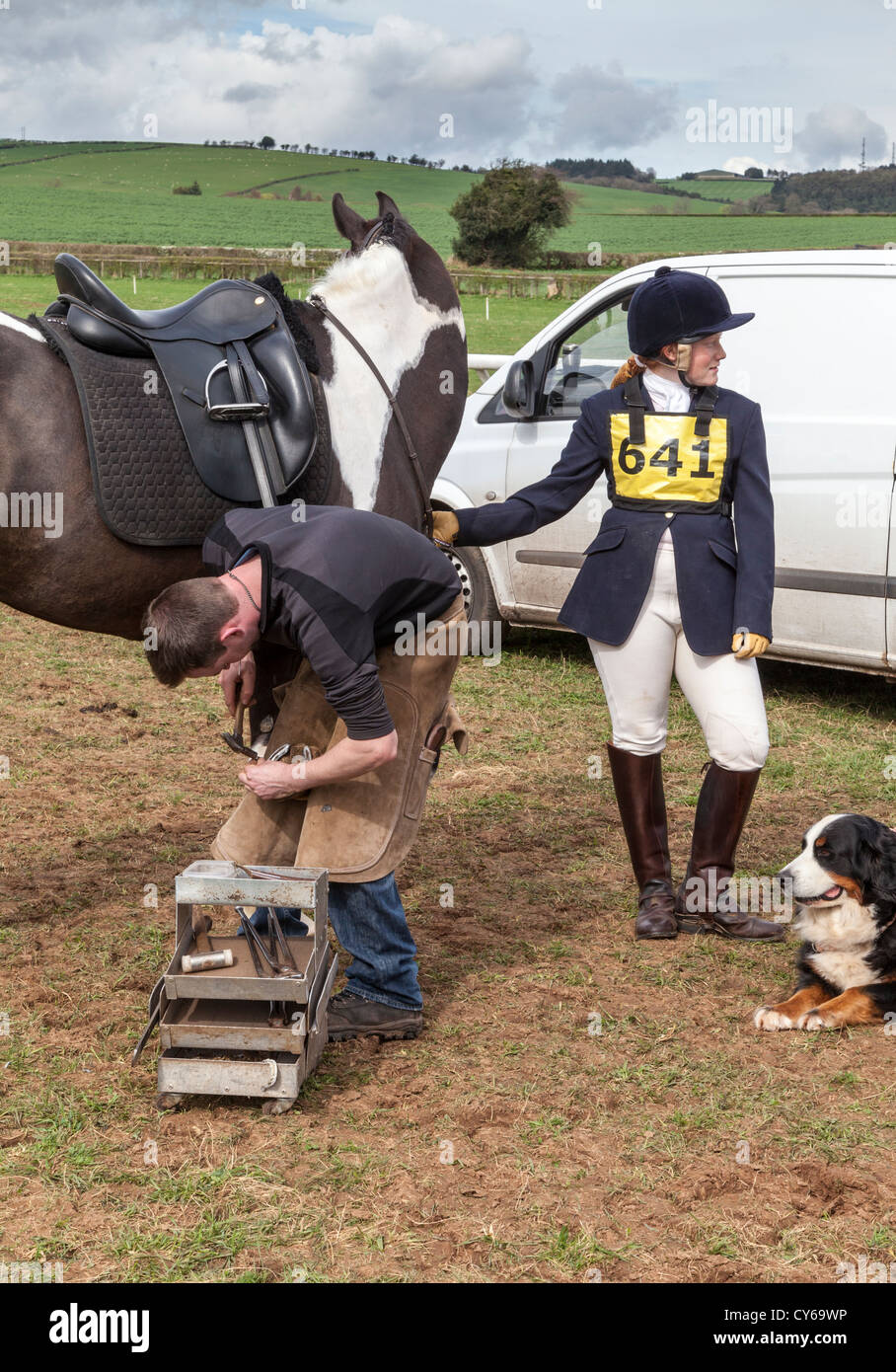 Farrier shoeing horse hi-res stock photography and images - Alamy
