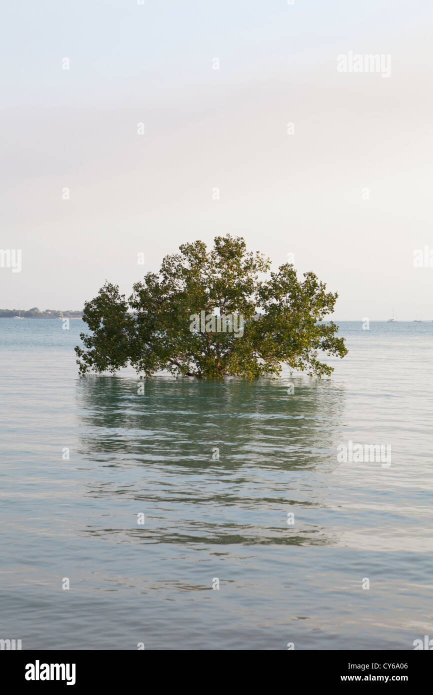 Scenery around Lee point, Darwin, Northern Territory, Australia Stock ...