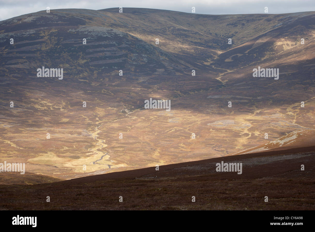 Moors in the Scottish Highlands Stock Photo - Alamy