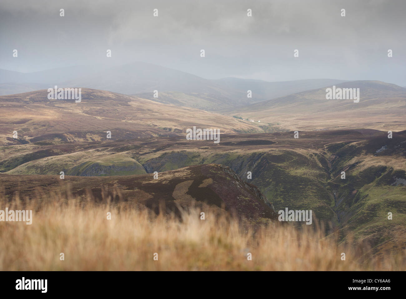 Moors in the Scottish Highlands Stock Photo - Alamy