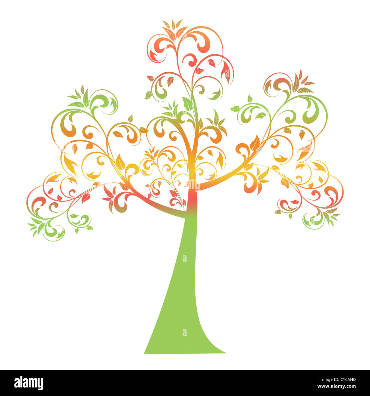 Beautiful autumn tree isolated on white background Stock Photo - Alamy