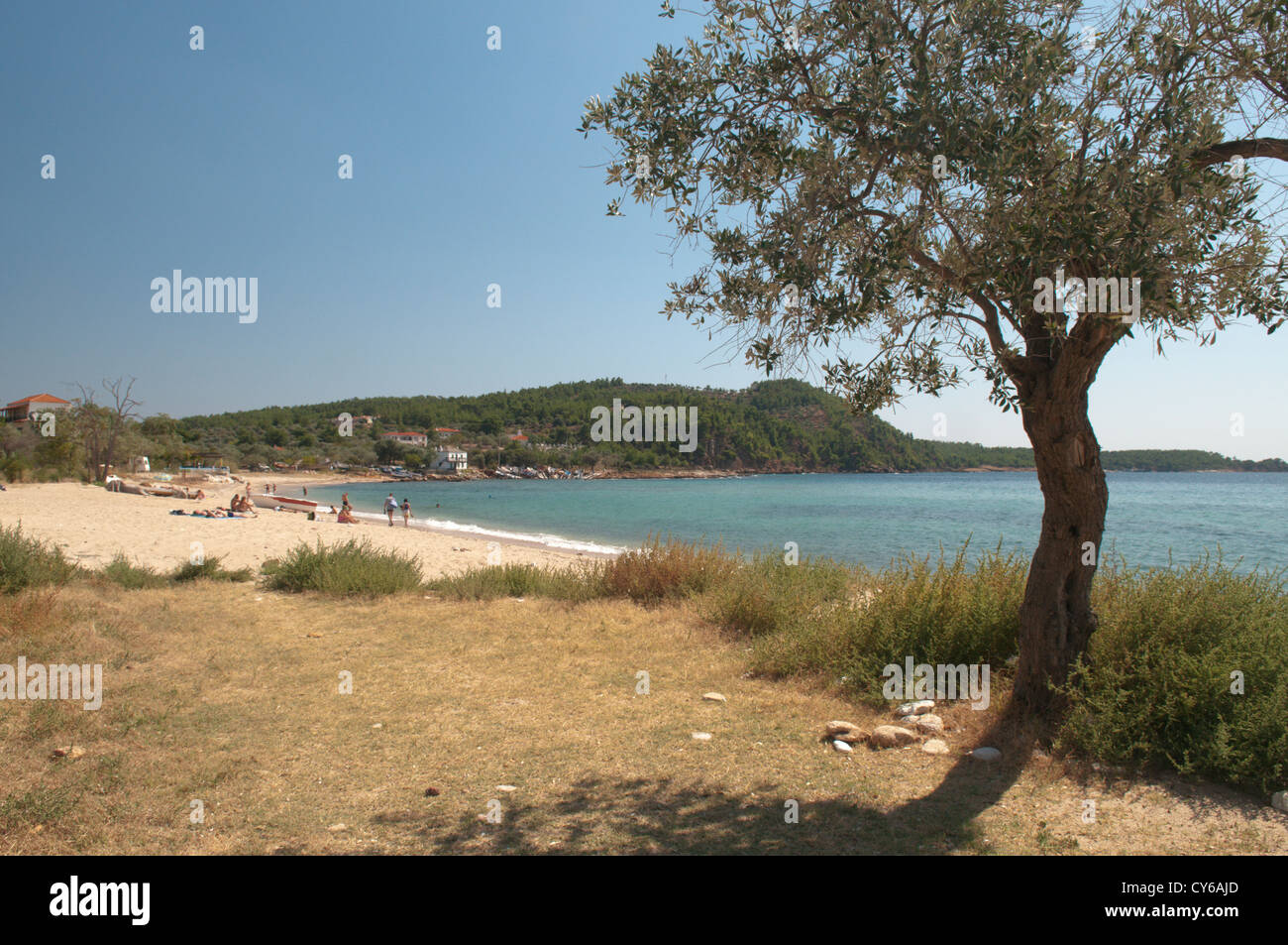 Thassos, Greece. Greek island. September. Small beach near Astris Stock ...