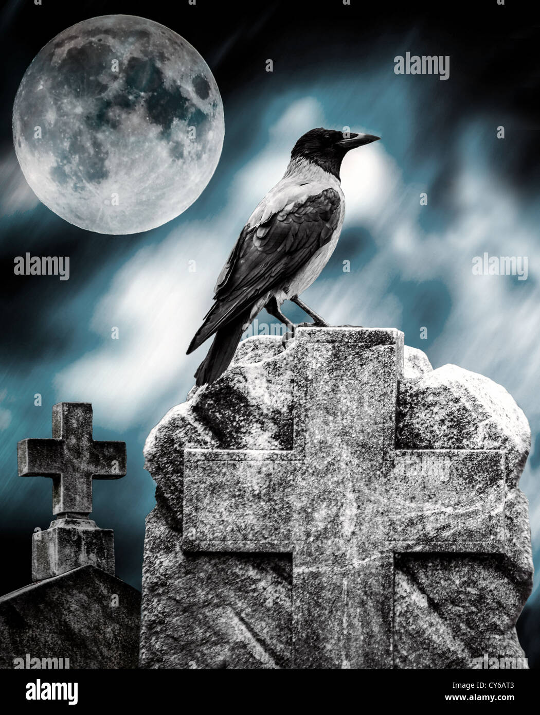 Raven in cemetery hi-res stock photography and images - Alamy