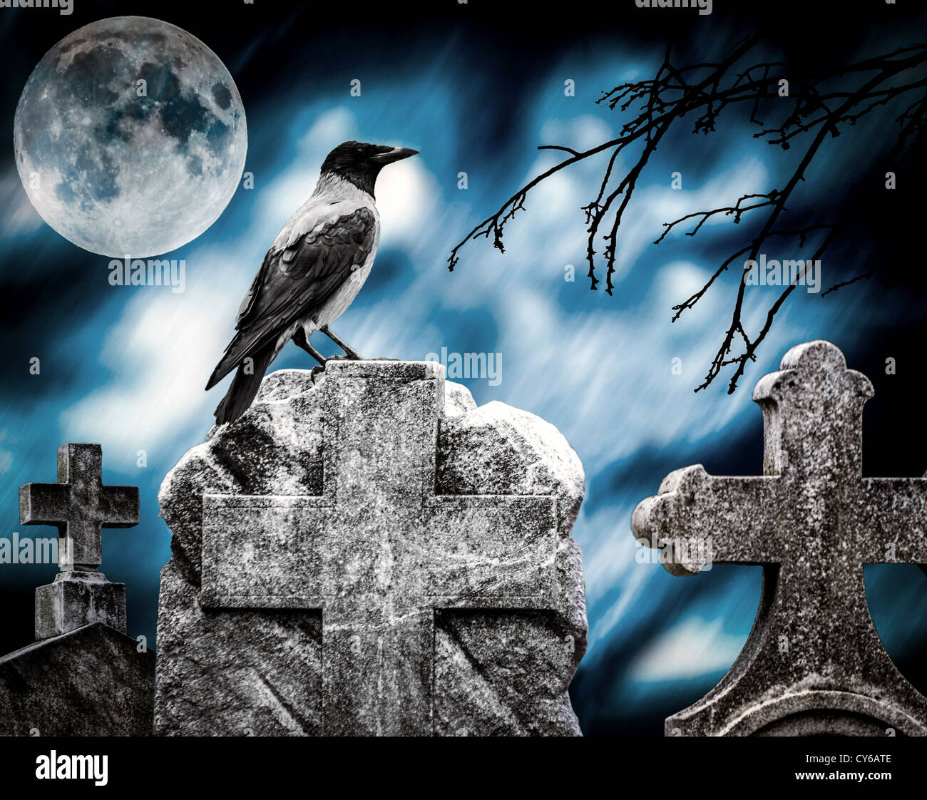 Gothic graveyard raven hi-res stock photography and images - Alamy