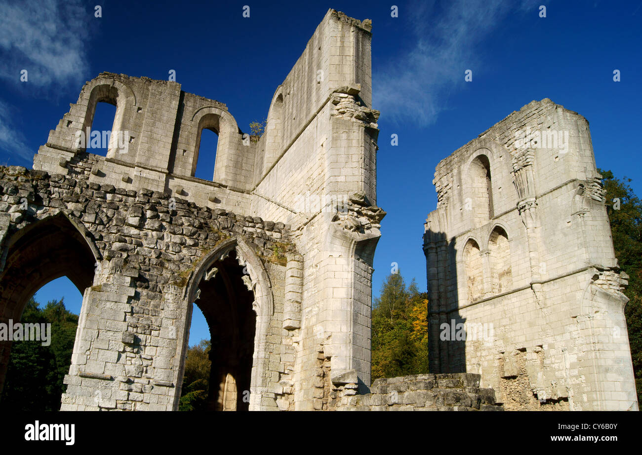 UK, South Yorkshire, Maltby, Roche Abbey Stock Photo - Alamy