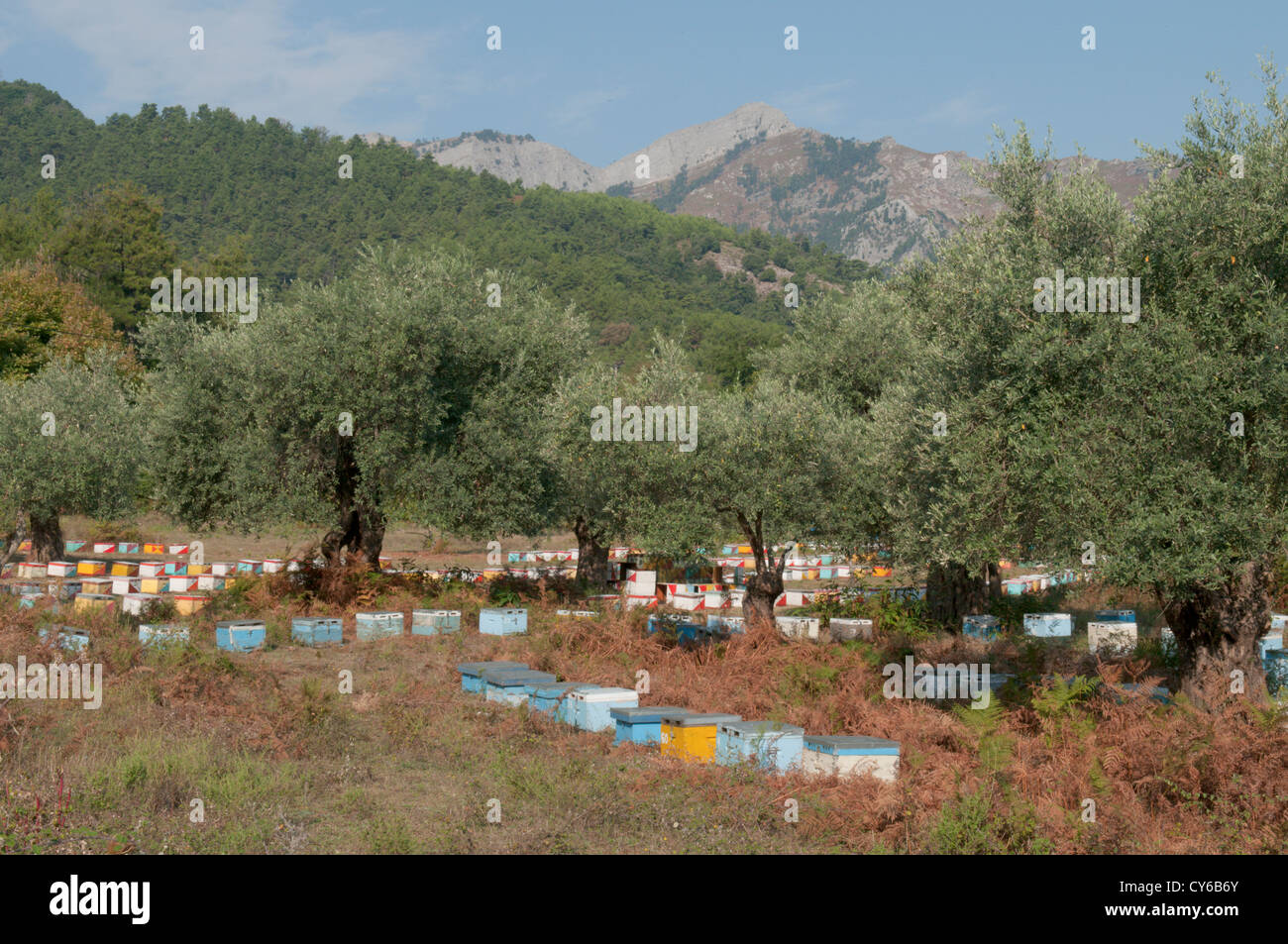 Beehives greece hi-res stock photography and images - Alamy