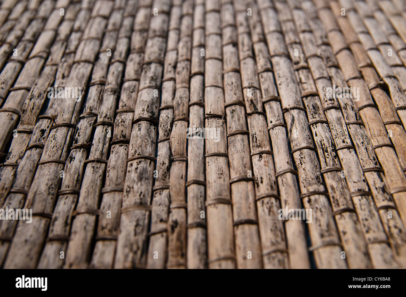 Horizontal close up photograph of a thatched roof made from tree bark ...