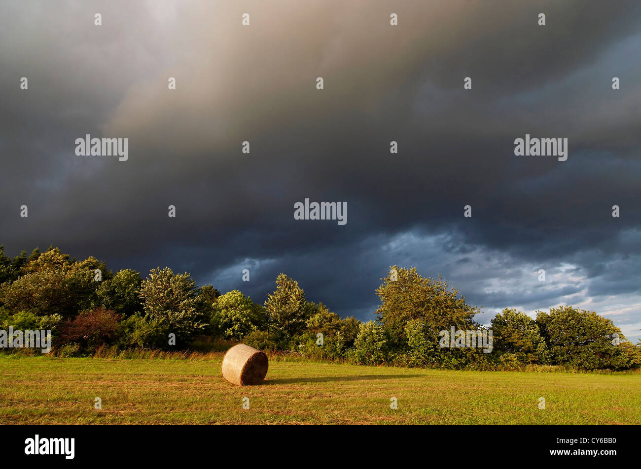 summer landscape - fields and meadows - overcast Stock Photo - Alamy