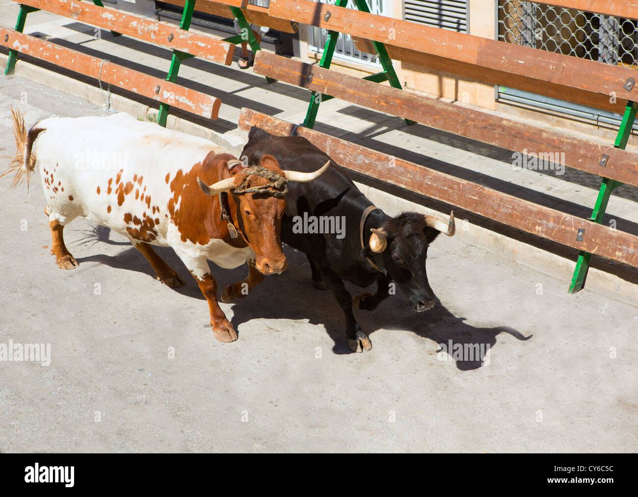 Bull at street traditional fest in Spain running of the bulls Stock ...