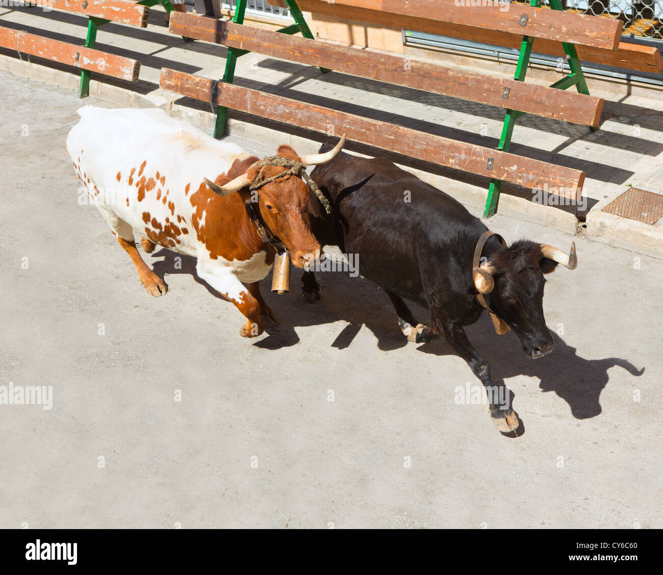 Bull at street traditional fest in Spain running of the bulls Stock ...