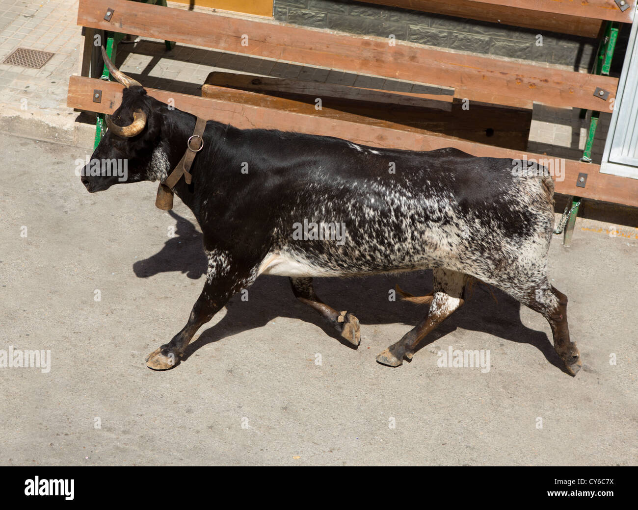 Bull street traditional fest in hi-res stock photography and images - Alamy