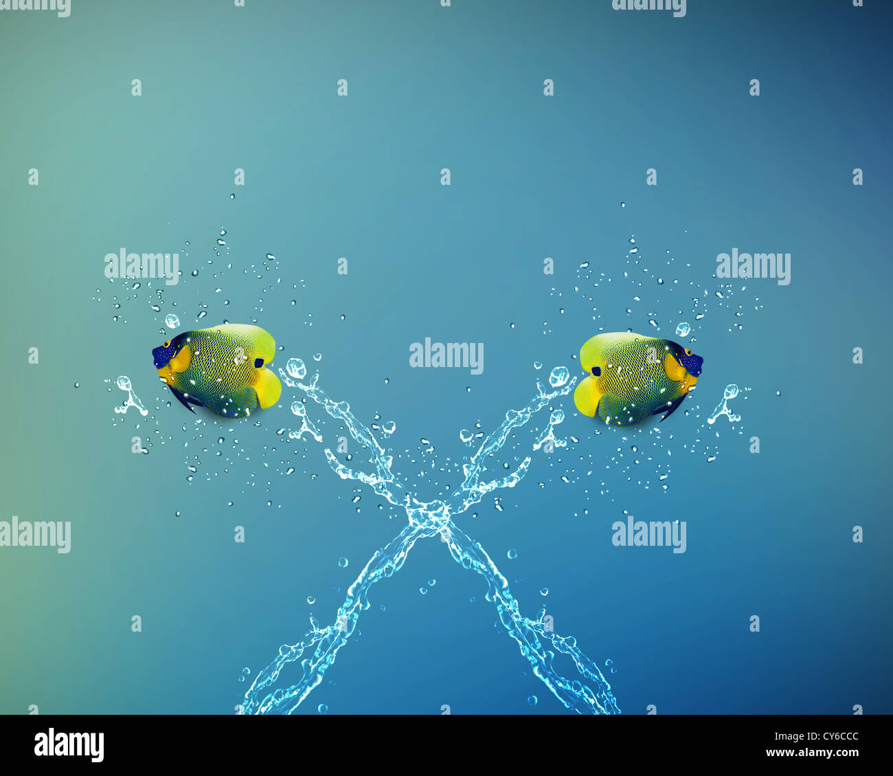 Angelfish jumping, good concept for Recklessness and challenge concept ...