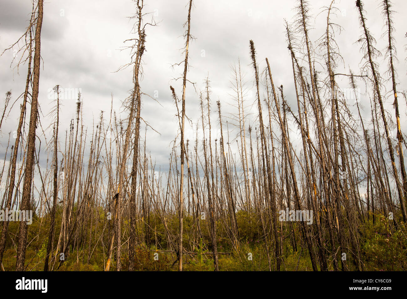 Burnt fort hi-res stock photography and images - Alamy