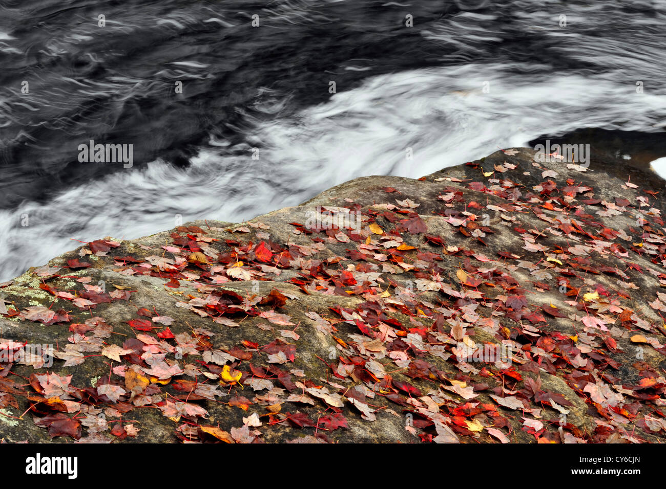 Freshwater natural foam hi-res stock photography and images - Alamy