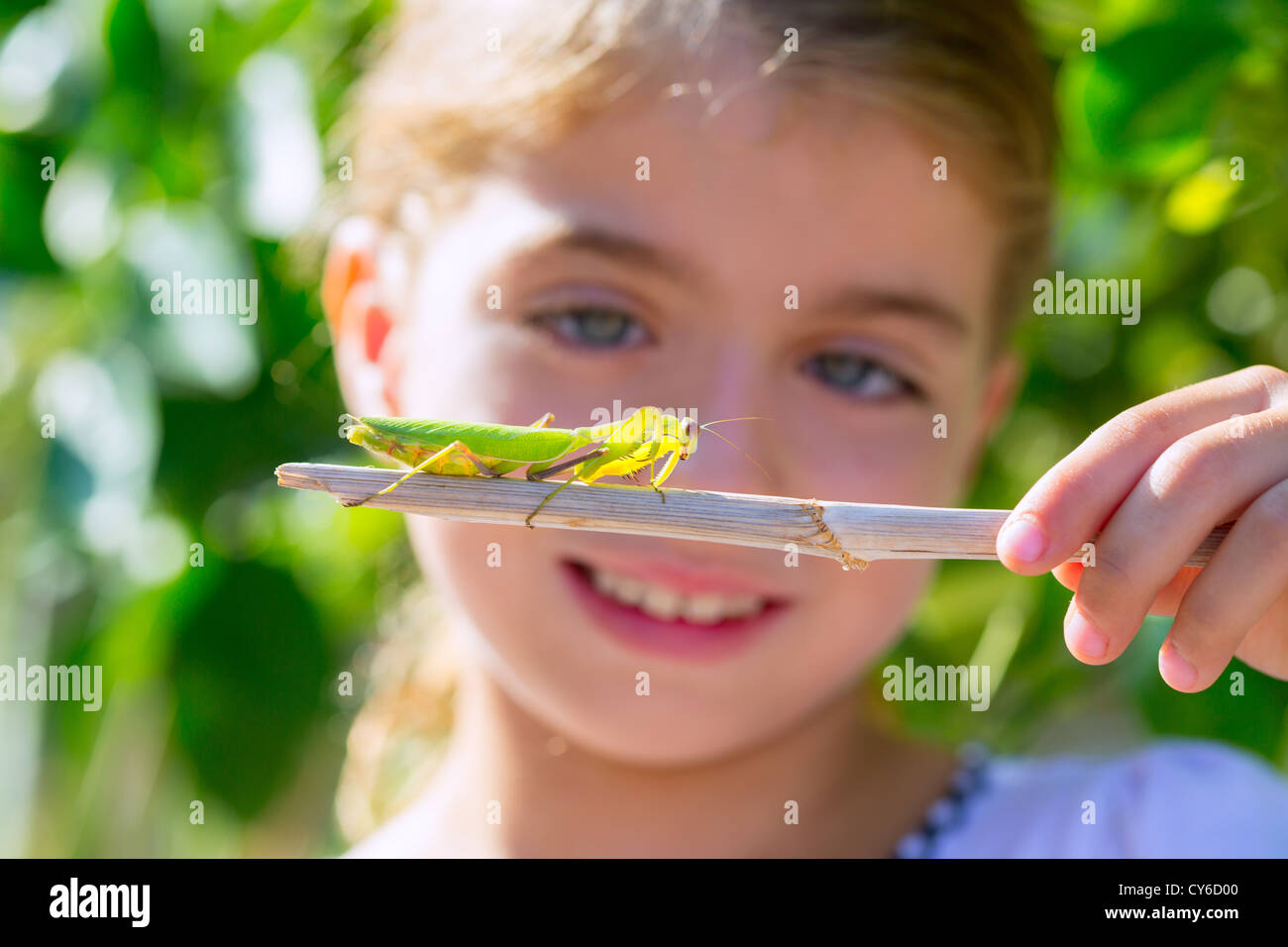 scientific naturalist biologist kid girl looking praying mantis insect ...
