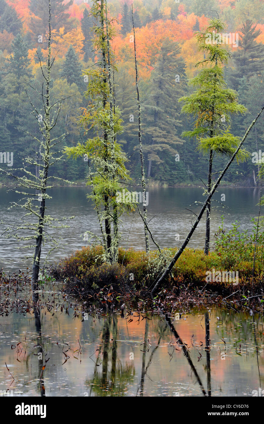 Algonquin provincial park opeongo lake hi-res stock photography and ...