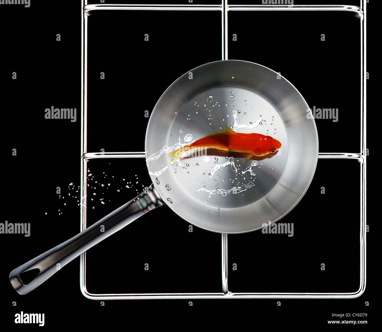 Gold fish jumping hi-res stock photography and images - Alamy