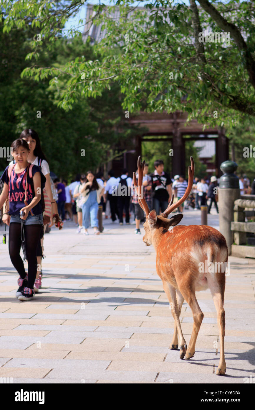 Daimonji hi-res stock photography and images - Alamy
