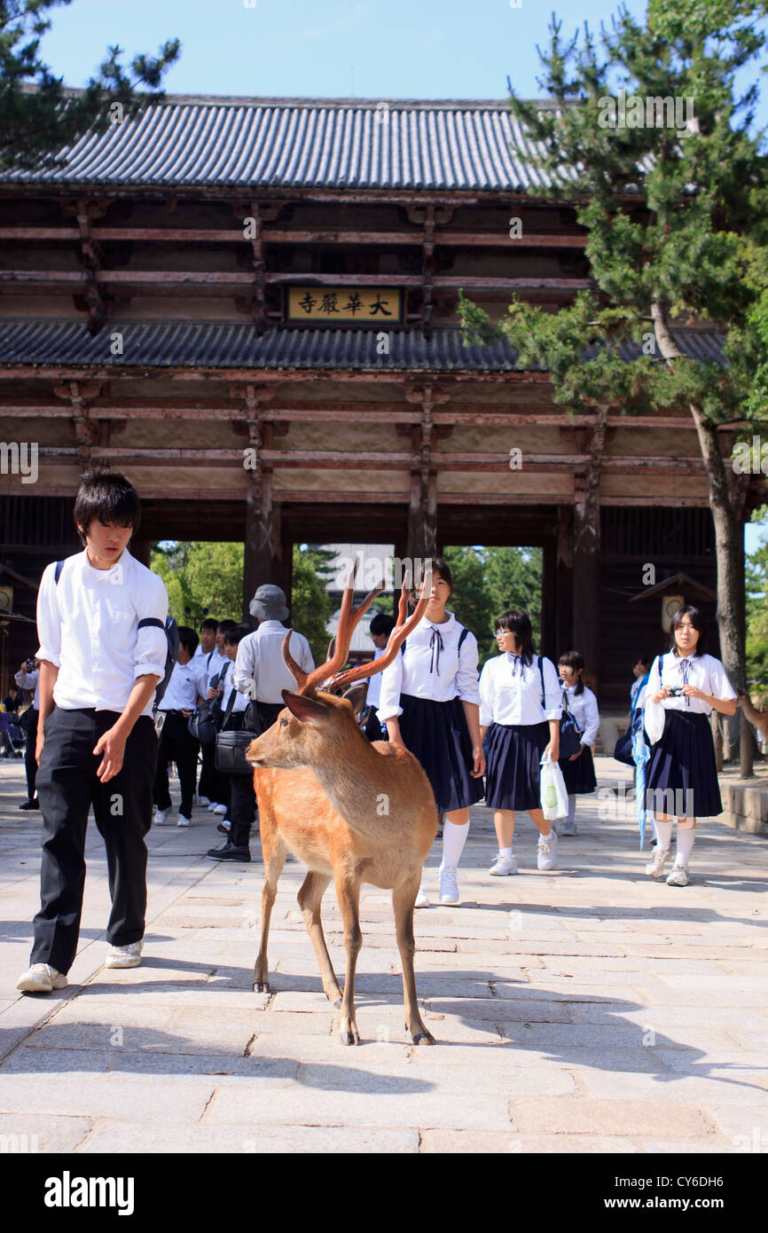 Daimonji hi-res stock photography and images - Alamy