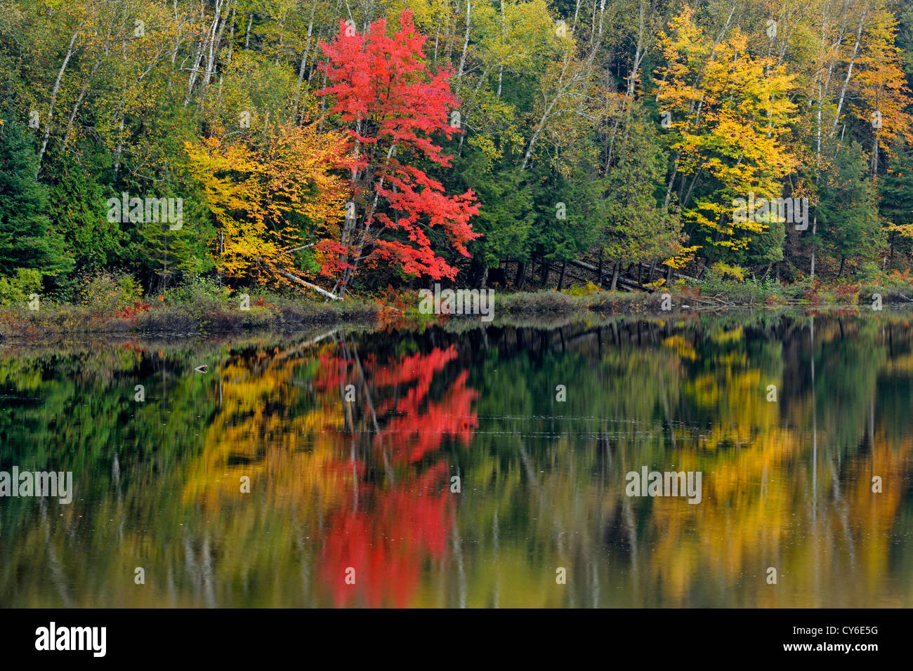 Autumn reflections in Rill Lake, Baysville, Ontario, Canada Stock Photo ...