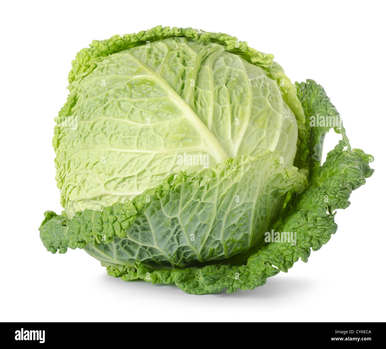Object on white cabbage hi-res stock photography and images - Alamy