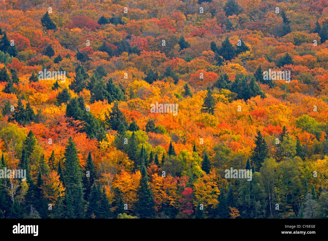 Muskoka hi-res stock photography and images - Alamy