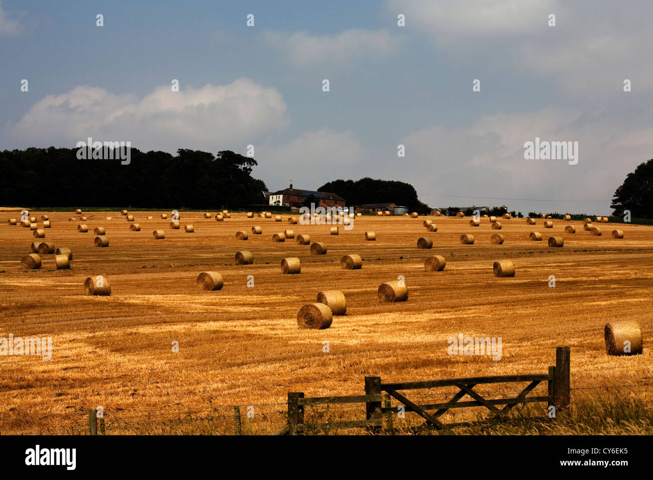 Hay Bales in a field near Market Weighton Yorkshire Wolds East ...