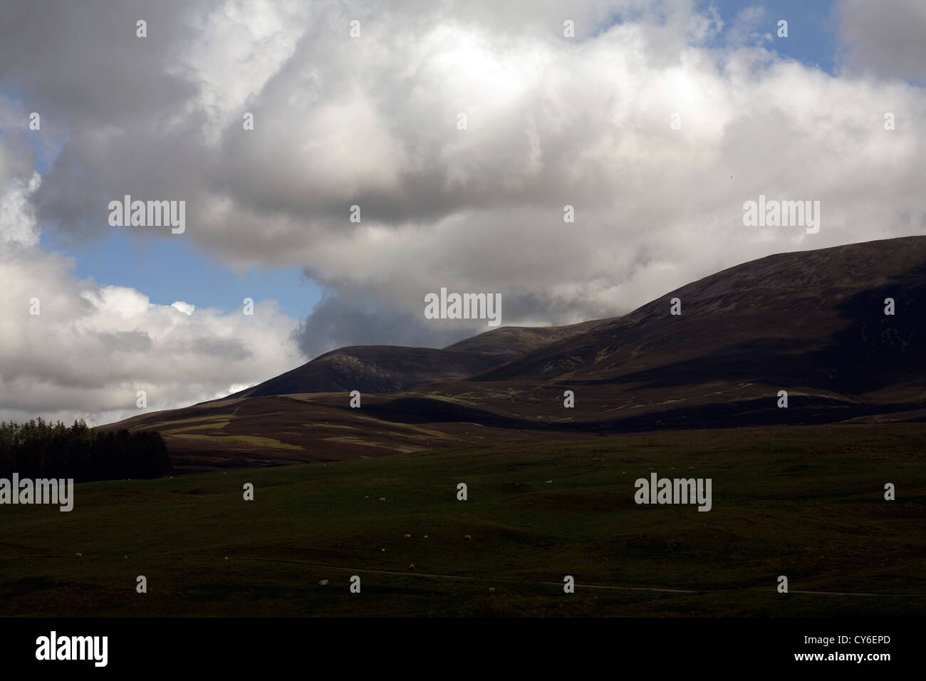 Pitlochry ben vrackie hi-res stock photography and images - Alamy