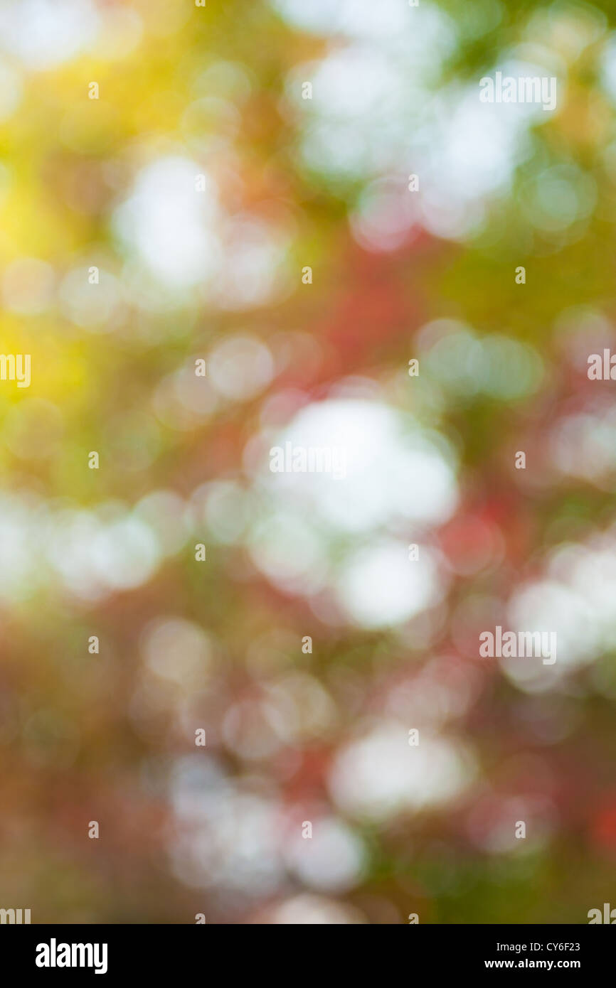 Abstract blurry background hi-res stock photography and images - Alamy