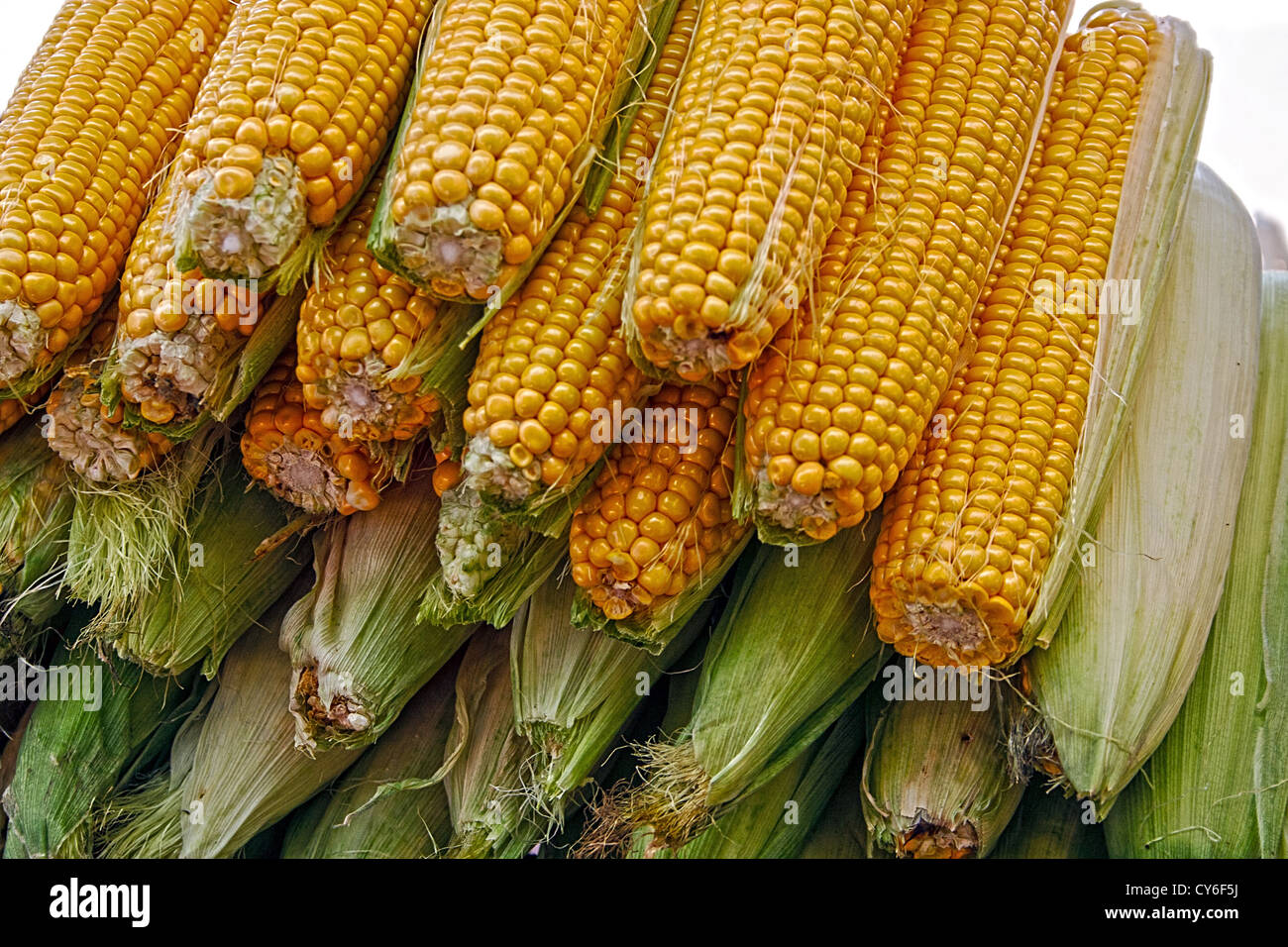 Bulk cooking oil hi-res stock photography and images - Alamy