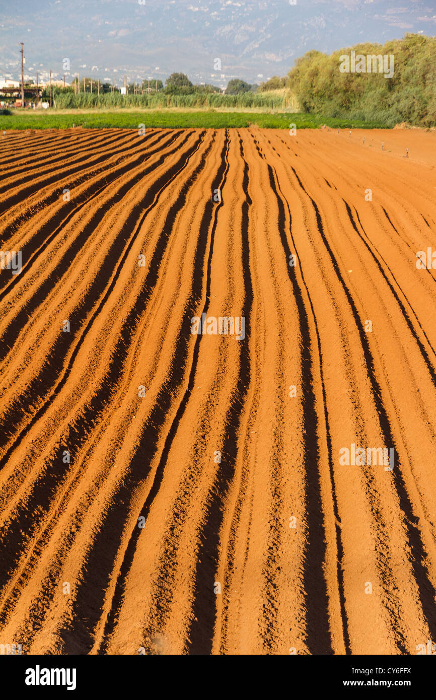 Soil rows hi-res stock photography and images - Alamy
