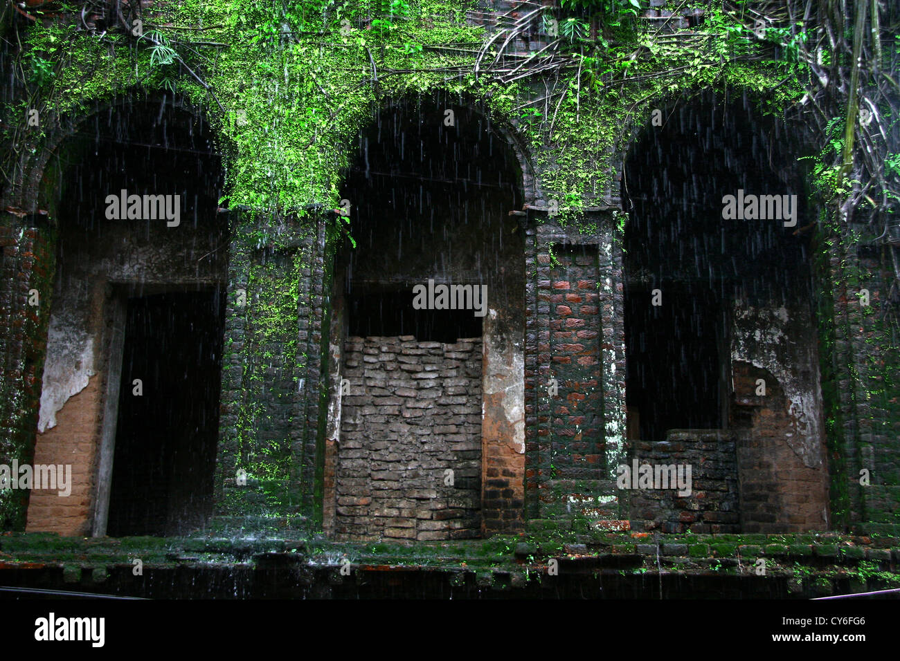 Panam Nagar in Sonargaon Stock Photo - Alamy