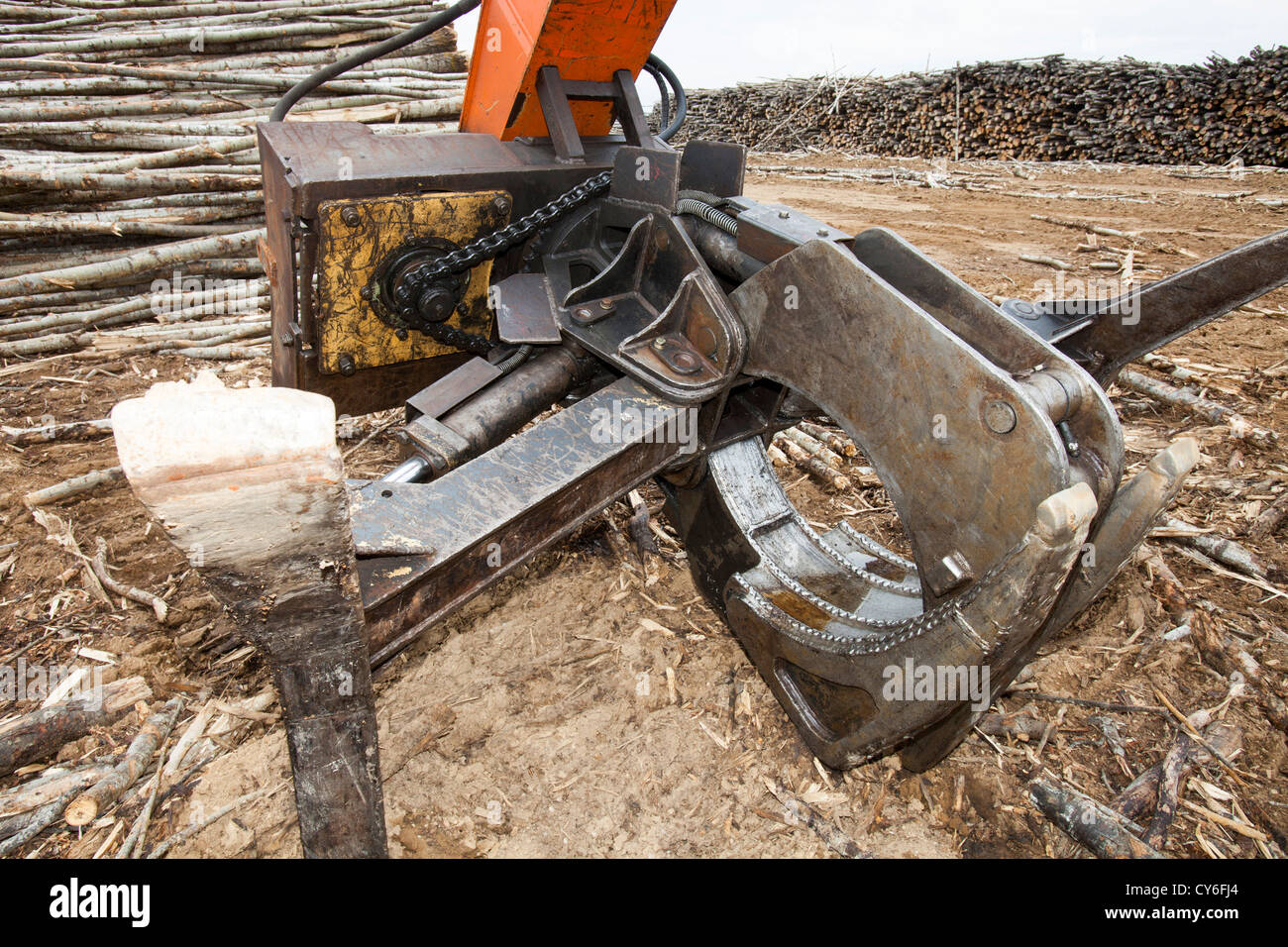 Boreal forest trees clear felled to make way for a new tar sands mine ...