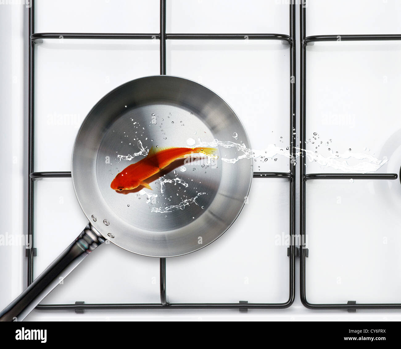 Frying pan and fresh gold fish with water splashes Stock Photo - Alamy