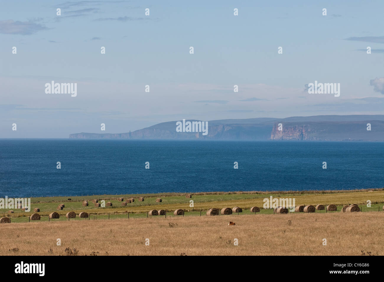 Caithness landscape and cliffs, NE Scotland Stock Photo - Alamy