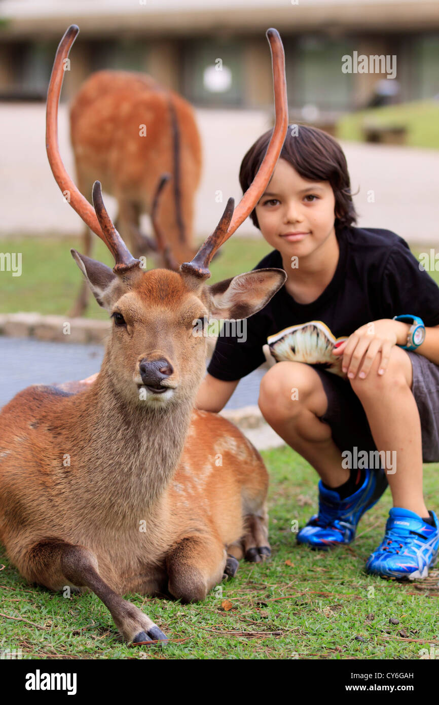 A young boy poses with a wild male deer, one of many that wander the ...
