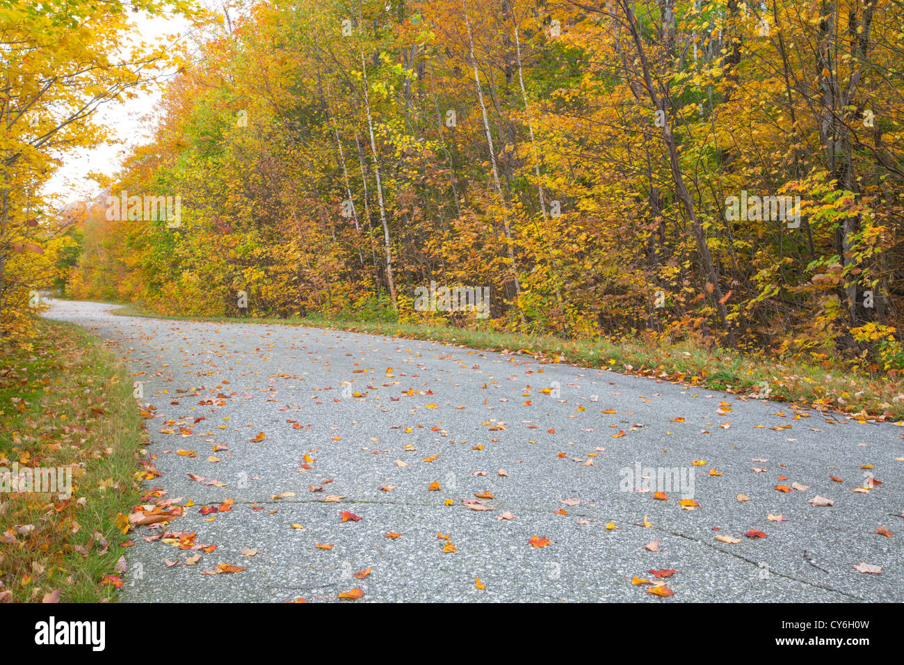 Franconia Notch State Park - Scenic view along the Franconia Notch Bike ...