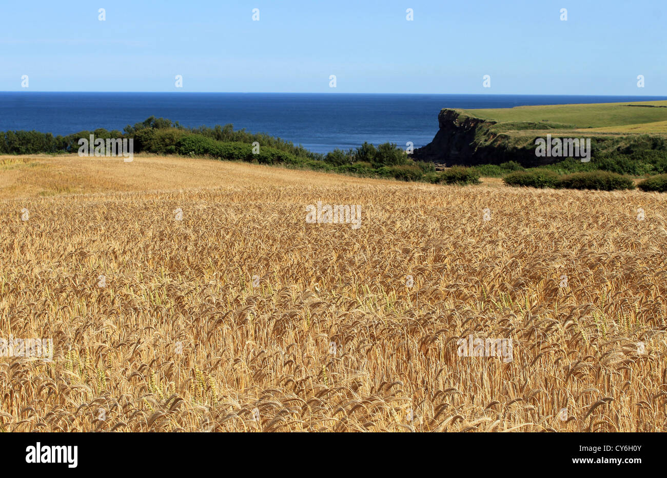 Seaside seashore sea hi-res stock photography and images - Alamy